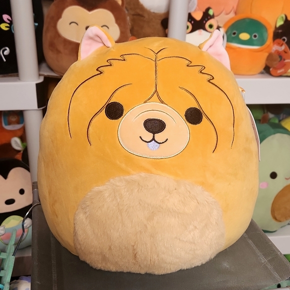 Squishmallows | Toys | Squishmallows Sandro Ultra Rare Chow Chow | Poshmark